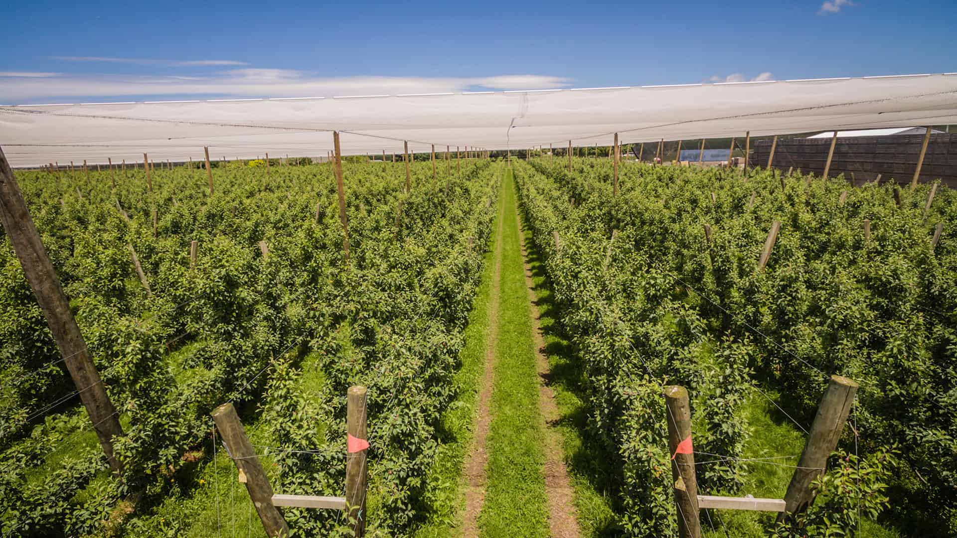 Contact & Locations - M A Orchards